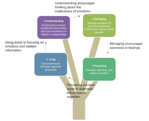 Trait Emotional Intelligence and Baptist Pastors' Wellbeing — Carey ...